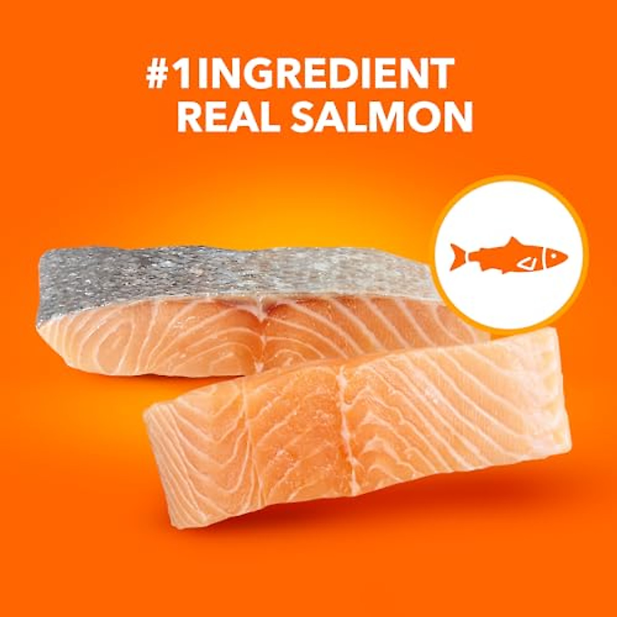 IAMS Proactive Health Adult Healthy Dry Cat Food with Salmon, 16 lb. Bag