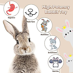 HOSFROLL Rabbit Toys, Bunny Chew Toys Cage Hanging Guinea Pig Toys Rattan Ring with 12Pcs Sticks Snacks for Rat Hamster