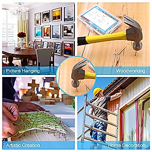 376pcs Hardware Nails Assortment kit with 2" Nails & 8oz Claw Hammer, Nails for Hanging Pictures, Picture Hanging Nails, Finishing nails, Wall nails, Small nails, Wood nails and Hammer