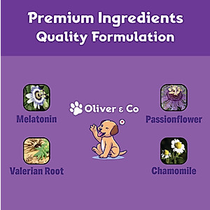 Dog Sleep Aid | Sleep Aid for Dogs | Promotes Healthy, Restful Sleep in Dogs | Melatonin for Dogs | | Dog Calming | Calming for Dogs | Dog Melatonin | Dog Anxiety Relief | 1 fl oz: Bacon Flavor