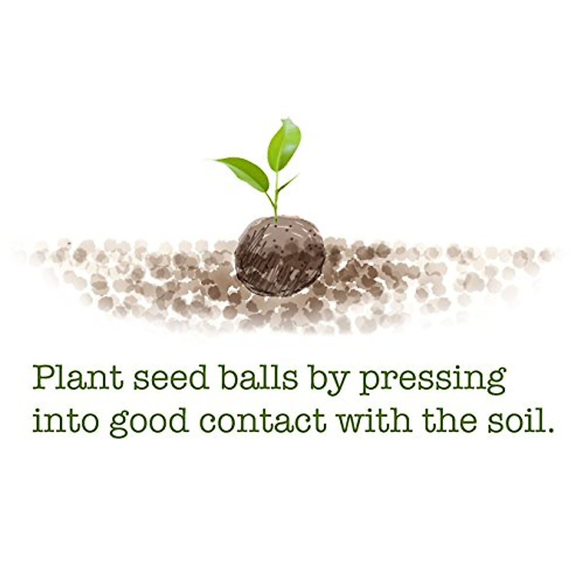 US Native Wildflower Seed Balls for Pollinators (50 Pack). Regional Wildflower Mix Seed Balls for Guerrilla Gardening (Northeast)