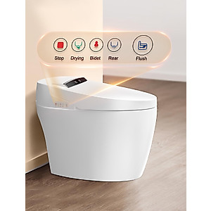 LDian Tankless Smart Toilet With Bidet Built In,Heated Toilet Seat One-piece Bidet Toilet Seat, Auto Flush, Auto Open & Auto Close, Warm Water and Dryer, Wireless Remote Control