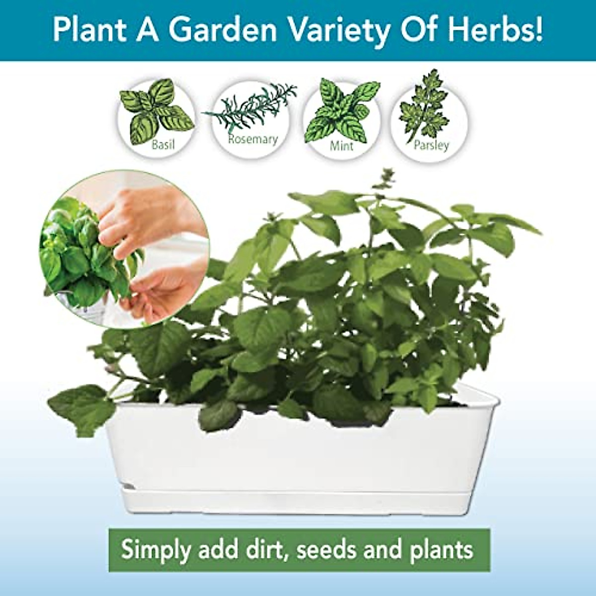 Product Trend Blooming Shelf for Window-Mounted Herbs, Grow Flowers, Succulents, and Vegetables, Indoor Rectangular Planter with Drainage Holes, 4 Inches x 11.2 Inches x 5.3 Inches, White, Pack of 2