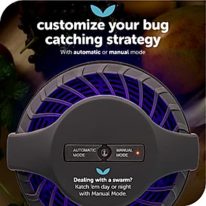 Katchy Midnight - Indoor Insect Trap with Automatic Setting - Fan Powered with UV Light - Fruit Fly Traps for Indoors - for Fruit Flies, Gnats, Mosquitoes, Moths