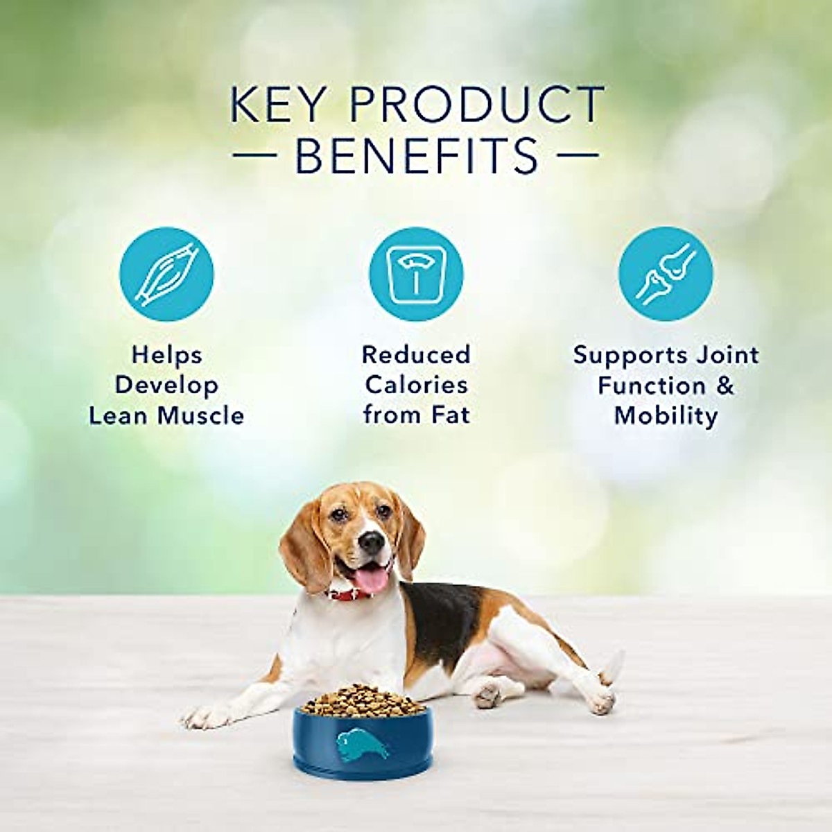 Blue Buffalo Freedom Grain Free Natural Adult Healthy Weight Dry Dog Food, Chicken 24-lb