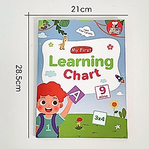 Lachilly My First Learning Chart and My First Phonics Chart Set Words Learning Sheet Educational Poster Vocabulary Building Flashcards Worksheet Teacher Teaching Aids for Pre-Kindergarten