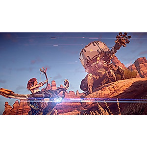 Horizon Zero Dawn - PlayStation 4 Collector's Edition