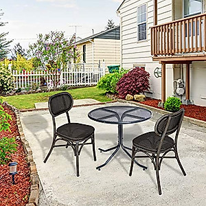 LUCKYERMORE Rattan Dining Chairs Set of 2 Armless with Backrest Classic Kitchen Chairs Dining Bistro Cafe Aluminum Chairs Black