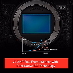 Panasonic LUMIX S5 Full Frame Mirrorless Camera (DC-S5BODY) and LUMIX S PRO 70-200mm F4 Telephoto Lens (S-R70200)