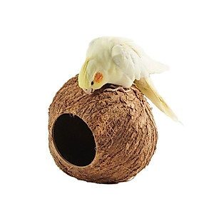 Natural 5.1'' Coconut Shell Bird Nest House Hut for Pet Parrot Cage Seed Feeder Toy Nesting Box (Natural Surface)