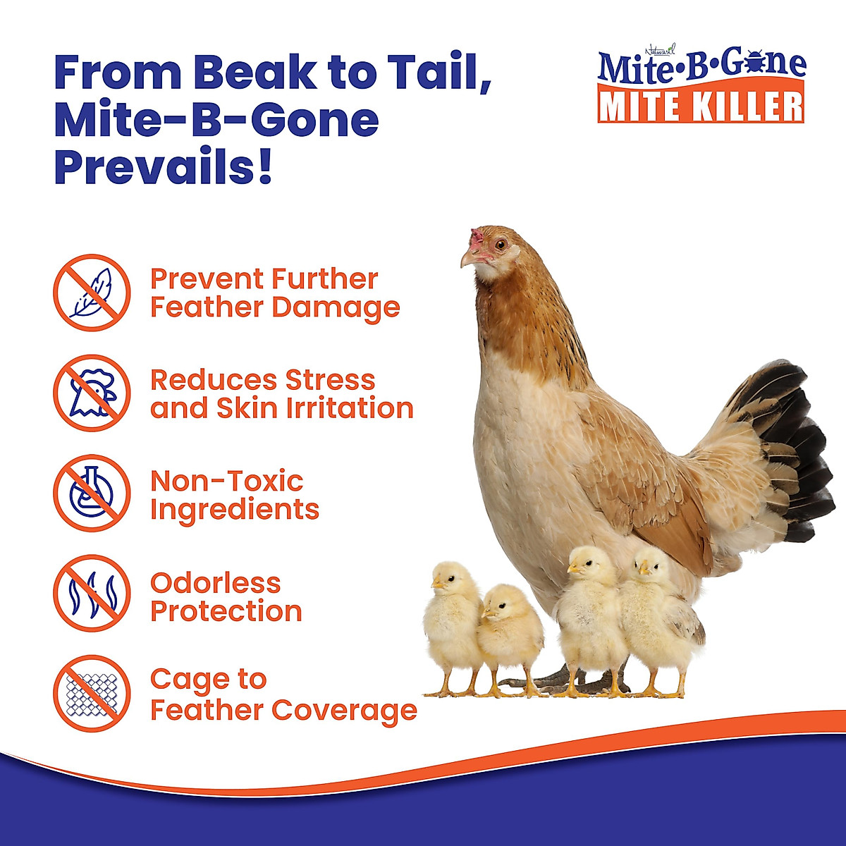 Mite Killer Spray by Mite-B-Gone — Kills Human Mites, Bird, Dust, Spider, Rat, Turkey, Carpet Mites. Treatment for Homes, Furniture, Bedding, Auto & Animals | Non-Toxic | Kid & Pet Safe | 16oz Spray