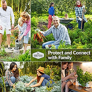 Survival Garden Seeds - Cape Daisy Seed for Planting - Packet with Instructions to Plant and Grow Beautiful White and Purple Osteospermum in Your Home Flower Garden - Non-GMO Heirloom Variety