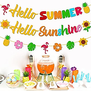 Hello Summer Hello Sunshine Banner for Summer Hawaiian Tropical Flamingo Pineapple Sunflower Beach Theme Holiday Happy Birthday Wedding Bachelorette Engagement Bridal Shower Party Supplies Glitter Decorations