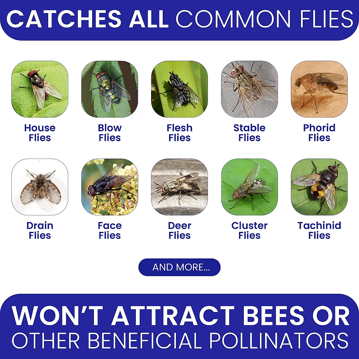 Reusable Fly Traps Outdoor Fly Traps with 2 Natural Fly Magnet Bait Refills. Flies Trap Outdoor Reusable Fly Trap Jar Fly Trap Fly Catchers Outdoor Fly Bait Fly Bags Flytraps Stable Fly Trap Bait