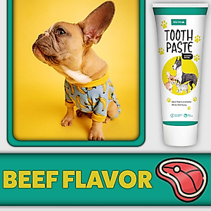 H&H Pets Dog Toothbrushes and Toothpaste Best Professional Cat & Dog Finger Tooth Brush, Dog Brush Set, Perfect for Dogs and Cats, Dog Supplies - Size Small 1 Count 3.5 Oz Toothpaste (100g)