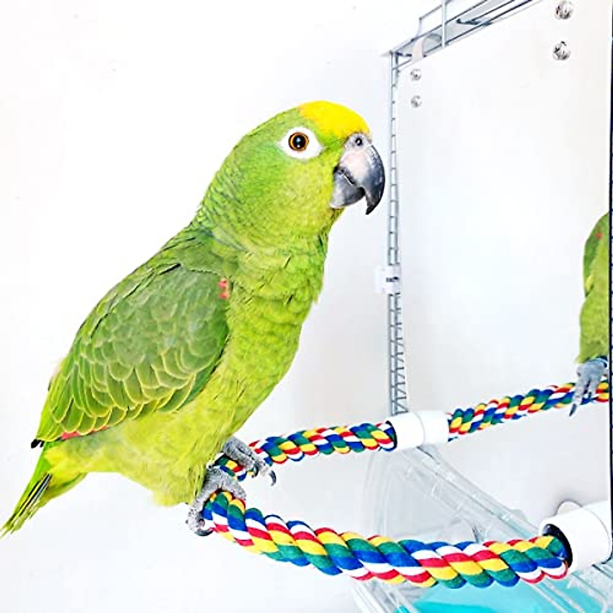 YITAQI Conure Cockatiel Cage Accessories with Rope Acrylic Brid Mirror Perch Stand Swing Parrot Toys(L)