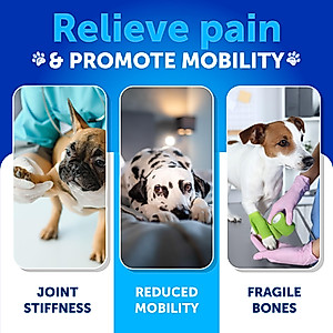 Hemp Hip and Joint Supplement for Dogs - Glucosamine for Dogs - Dog Joint Pain Relief Treats - Hemp Chews for Dogs Chondroitin - MSM - Mobility Support - Advanced Canine Joint Health - 120 Chews