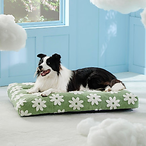 Lesure Large Dog Beds-Thick Shredded Chopped Foam Pet Bed, Dog Bed Indoor with Removable Cover, Cute Modern Fuzzy Plush & Anti Slip Bottom(36'x27', Green)