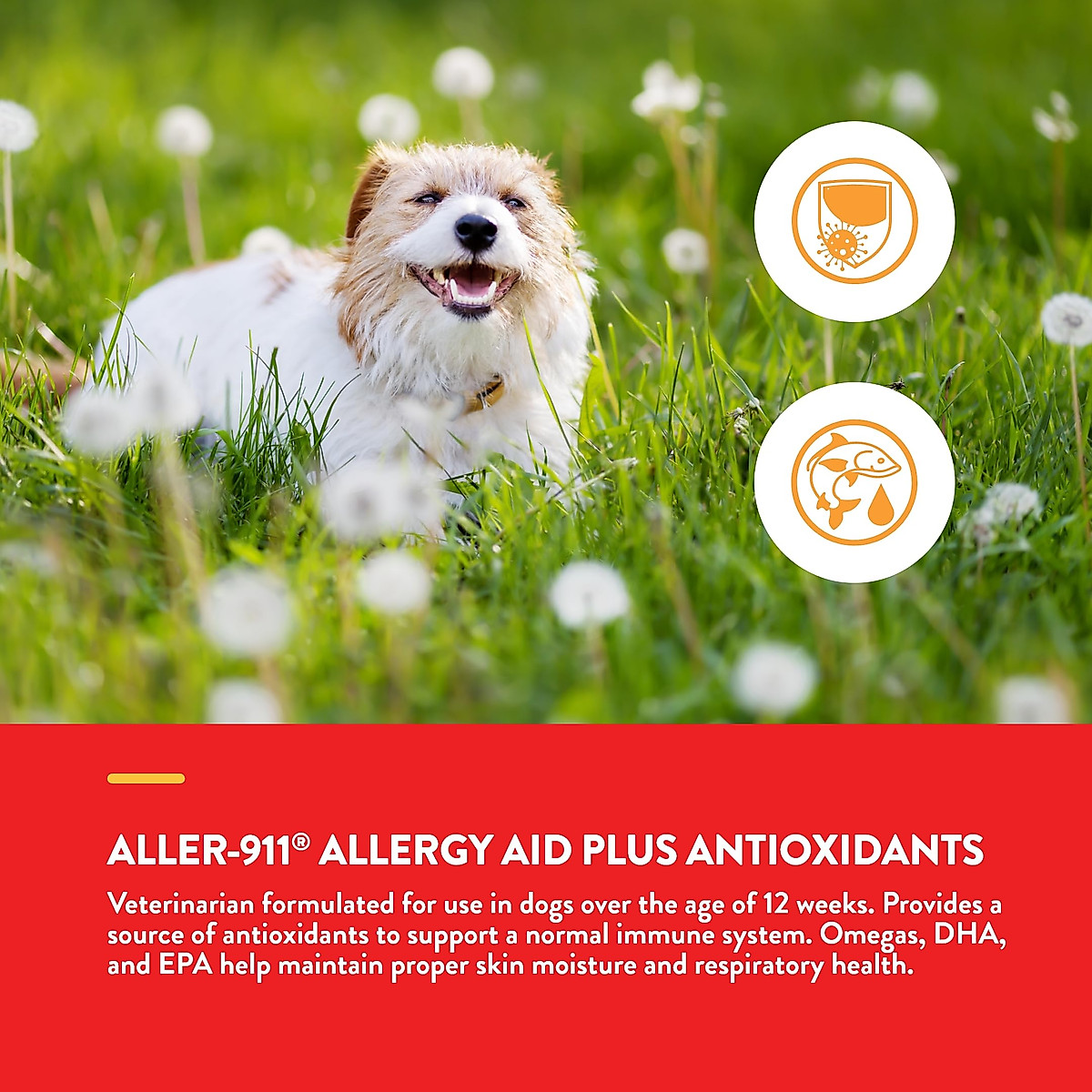 NaturVet Aller-911 Advanced Allergy Aid for Dogs, Cats – Antioxidant-Rich Pet Supplement with Omegas, DHA, EPA – Helps Support Dog Immune System, Cat Respiratory Health, Skin Moisture 180 Soft Chews