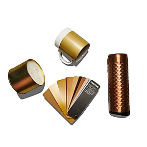 Pantone Skintone Guide with Metallic Shimmers Color Guide