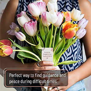 Mr. Pen- Prayer Cards, 70 Unique Bible Verse Cards, Boho Theme, Mini Scripture Cards, Prayer Cards for Women and Men, Scripture Cards with Bible Verses, Christian Cards, Scripture Prayer Cards