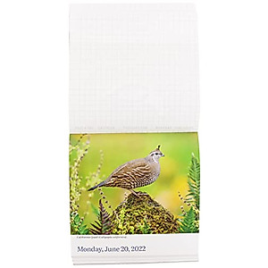 Audubon Birds Page-A-Day Calendar 2022