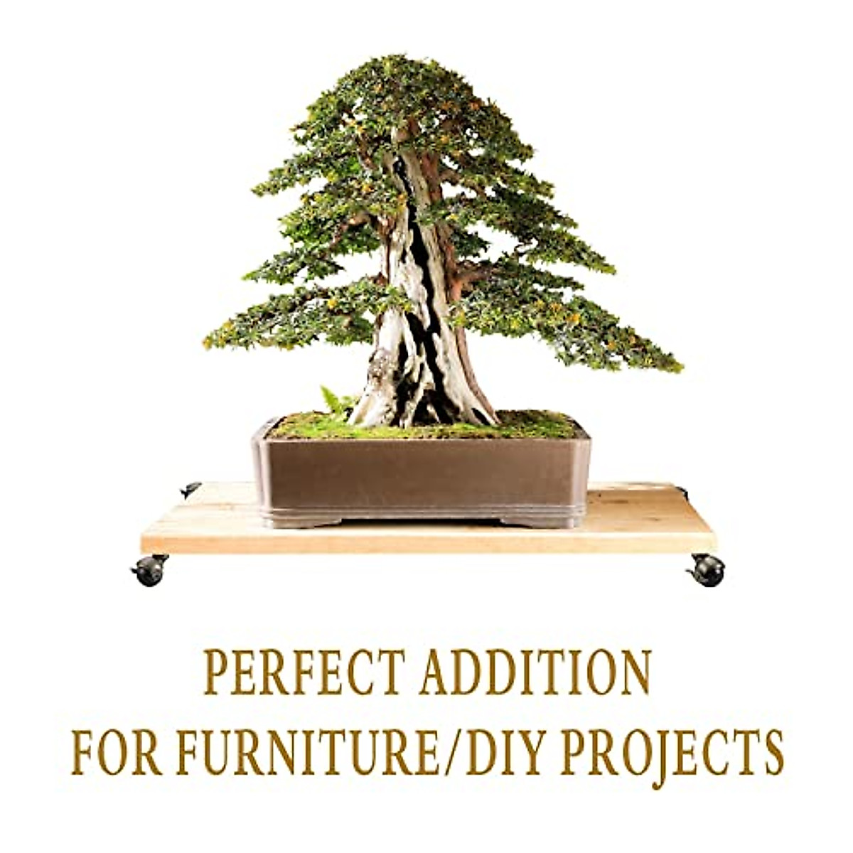 JGJC Casters Set of 4, Antique Brass Casters with Brake, 2 Inch Ball Castor Wheels for Furniture Casters Vintage Wheels Heavy Duty, Table Caster with 360 Degree Swivel Top Plate