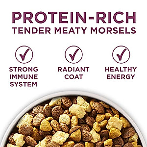 Purina ONE Plus Healthy Puppy Formula High Protein Natural Dry Puppy Food with added vitamins, minerals and nutrients - 31.1 lb. Bag