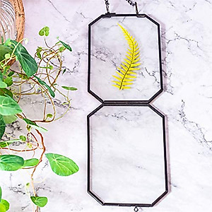 NCYP Wall Hanging 4X6 inches Black Long Octagon Herbarium Brass Glass Frame for Pressed Dried Flowers, Double Glass, Floating Frame Style, Glass Frame Only