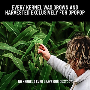 Opopop Microwave Popcorn - Variety 12-Pack Gourmet Popcorn Kit, Collapsible Silicone Popcorn Popper, Popcorn Maker, Gluten Free Snack-Sized Serving, BPA-Free and Dishwasher Safe