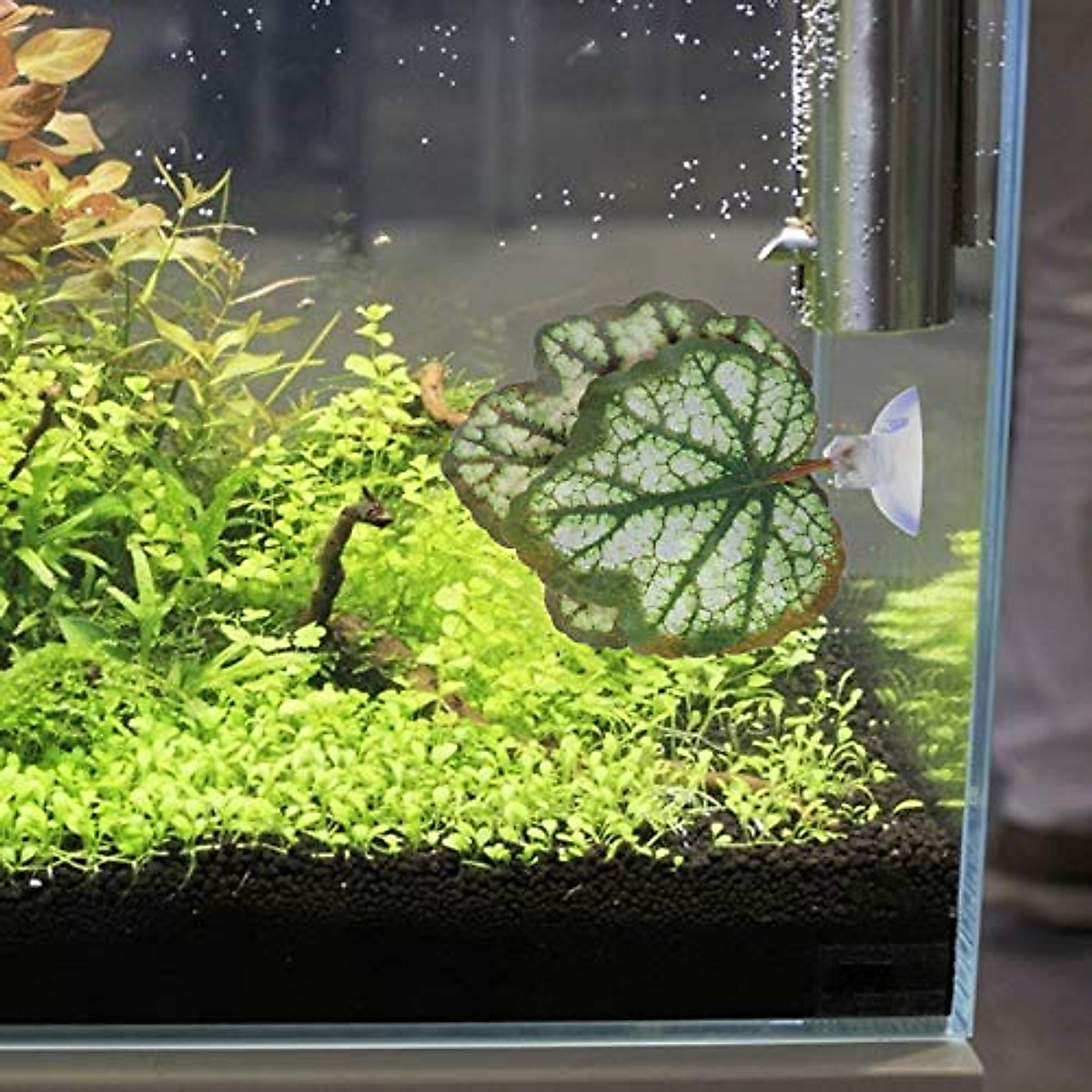 iplusmile Betta Fish Leaf Hammock- 2Pcs Aquarium Betta Fish Leaf Pad Fish Tank Resting Leaf with Suction Cups Hammock Breeding Bed for Beta Tank Decorations Green