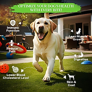 Healthy Dogma - PetMix Dehydrated Dog Food - Raw Dog Food - Joint Support & Mobility - Grain Free, Clean Ingredient Dog Food - No Preservatives, Homemade Dog Food (Mobility, 2 lbs)