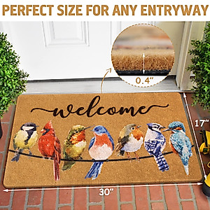 Birds On Wires Welcome Doormat, Durable Bird Welcome Rug Indoor Outdoor Hummingbird Cardinal Robin Non-Slip Rug for Entryway, Porch, Patio, Garage - 17 x 30 Inch