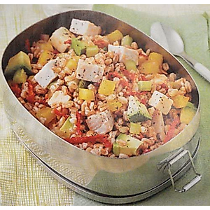 Zebra Stainless Steel Lunchbox