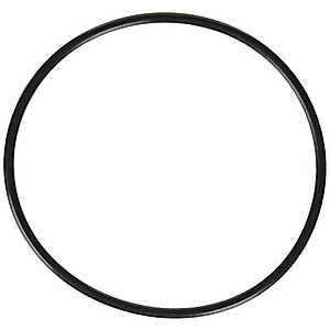 Everpure EVERPURE-EV3071-19 4 inch Water Filter O-Ring