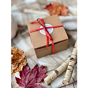 Fire Starters Scented Pine Cones | Fireside Natural Fire Pit Starters with Natural Soy Wax | Christmas Home Fragrance Fir + Cypress + Cedar + Amber + Moss | Set of 6 Pine Cones Gift Box