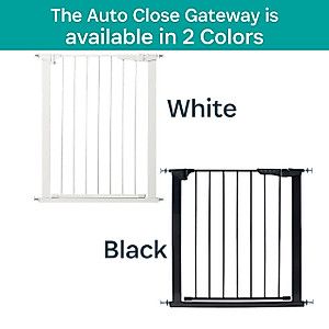 KidCo Gateway Baby Pressure Gate - No Tools or Wall Cups Required - Auto Close Magnet-Lock & Stay Open Safety Gate - G1101, Black
