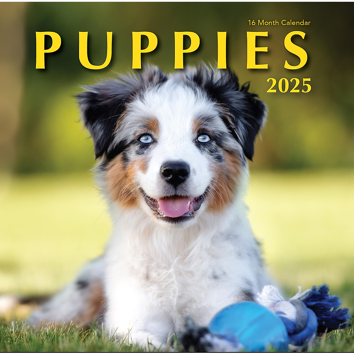 Puppies 2023 Hangable Wall Calendar - 12" x 24" Open - Cute Funny Dog Photo Gift - Sturdy Thick Puppy Dogs Photography - Large Full Page 16 Months for Organizing & Planning - Includes 2022