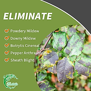 Nasticide Fungicide Made of Plant extracts, Natural Fungicide for Plants, Pesticide Concentrate Spray, Organic Disease Control Fungicide for Lawns, 8oz