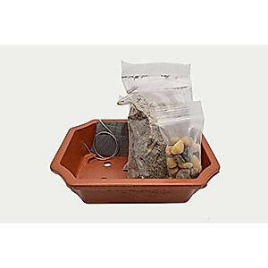 9GreenBox - Bonsai Potting Kit
