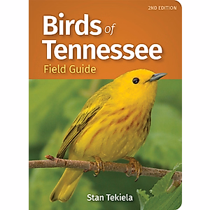 Birds of Tennessee Field Guide (Bird Identification Guides)
