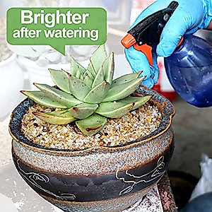Coarse Silica Sand 2.7lb Succulent Rocks Stones Potting Horticultural Grit Cactus Bonsai Soil Cover Gravel Indoor Plant Pebbles Carnivorous Mix for Cacti, Vase Filler, Fairy Gardening, Top Dressing