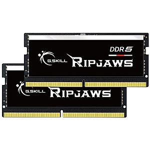 G.SKILL Ripjaws DDR5 SO-DIMM Series DDR5 RAM 64GB (2x32GB) 4800MT/s CL40-39-39-76 1.10V Unbuffered Non-ECC Notebook/Laptop Memory SODIMM (F5-4800S4039A32GA2-RS)