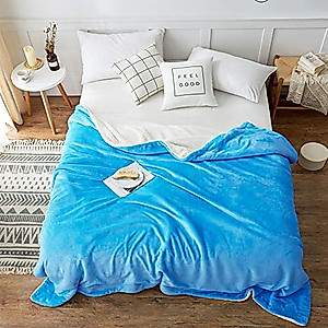 SONORO KATE Sherpa Fleece Blanket Queen Size - Luxurious Double Reversible Super Soft Thick Fuzzy Plush，Warm Cozy Fluffy Couch Throw Velvet Queen Blanket for Bed(90"x90")