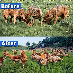 Lulu Home 4 Packs Solar Animal Repeller, Nocturnal Predator Deterrents with Red LED Flashing Lights Drive Away Raccoons, Deer, Skunks, Coyotes, Birds, Foxes from Chicken Coop Yard Farm