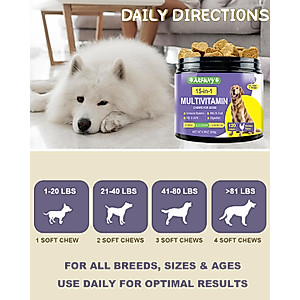15 in 1 Dog Multivitamin Supplement - Dog Vitamins for Immune System, Digestion, Hip & Joint, Skin & Coat - Multivitamin Chews for Dog with Glucosamine & Chondroitin - Chicken Flavor, 120 Chews