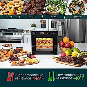 6PCS Silicone Dehydrator Mats with Edge NonStick Square Dehydrator Trays for Cosori CP267-FD,High Temperature Resistance Reusable for Meat Vegetables Fruit Food