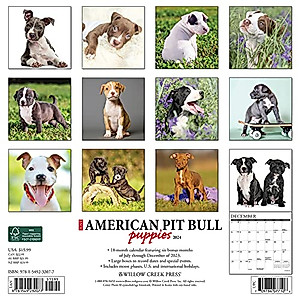 Just American Pit Bull Terrier Puppies 2024 Calendar