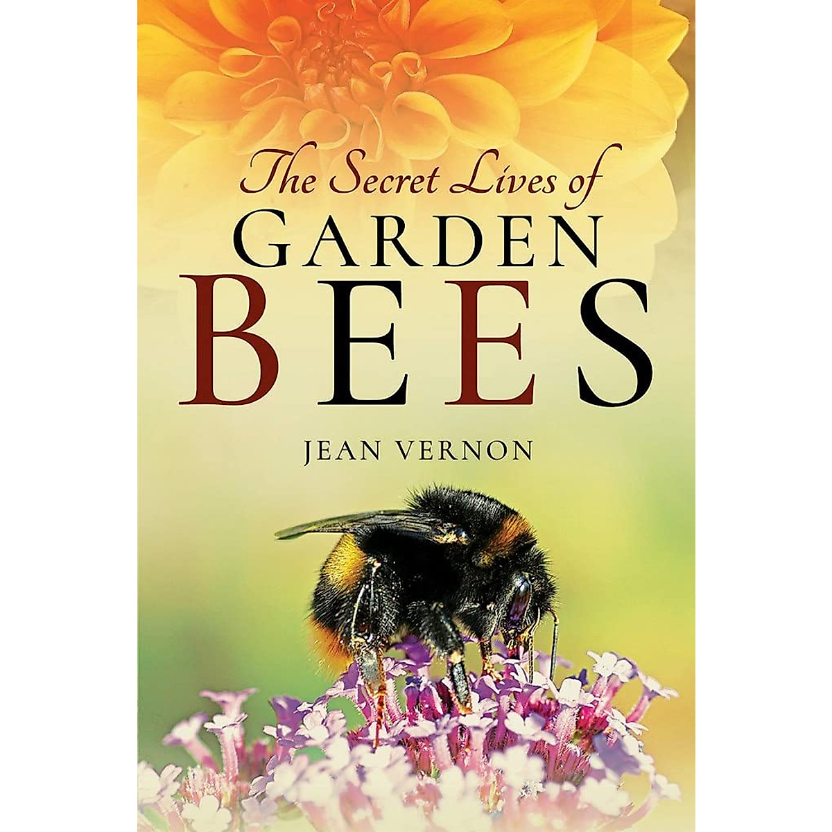 The Secret Lives of Garden Bees