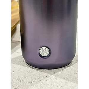 Starbucks Green/Purple/Silver Vacuum Insulated Stainless Steel Tumbler 20 Fl Oz